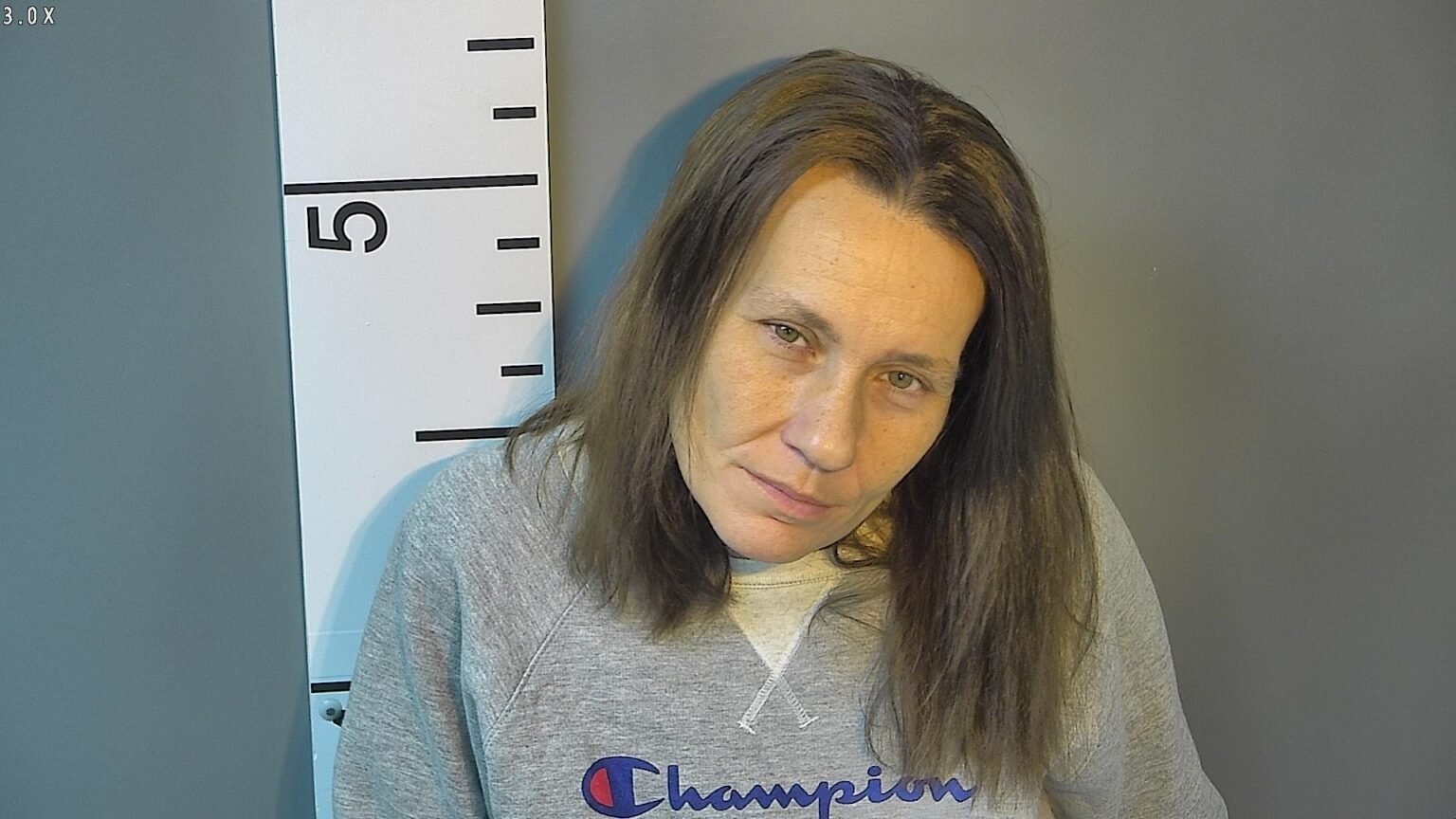 Nelson County Jail Logs — Oct. 11-20, 2025 – The Nelson County Gazette